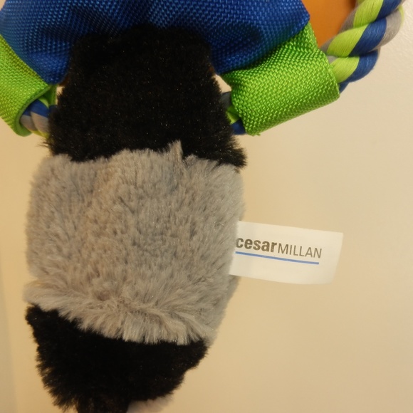 Cesar Millan | Other | Cesar Millan Fling A Ring High Activity Dog Toy ...